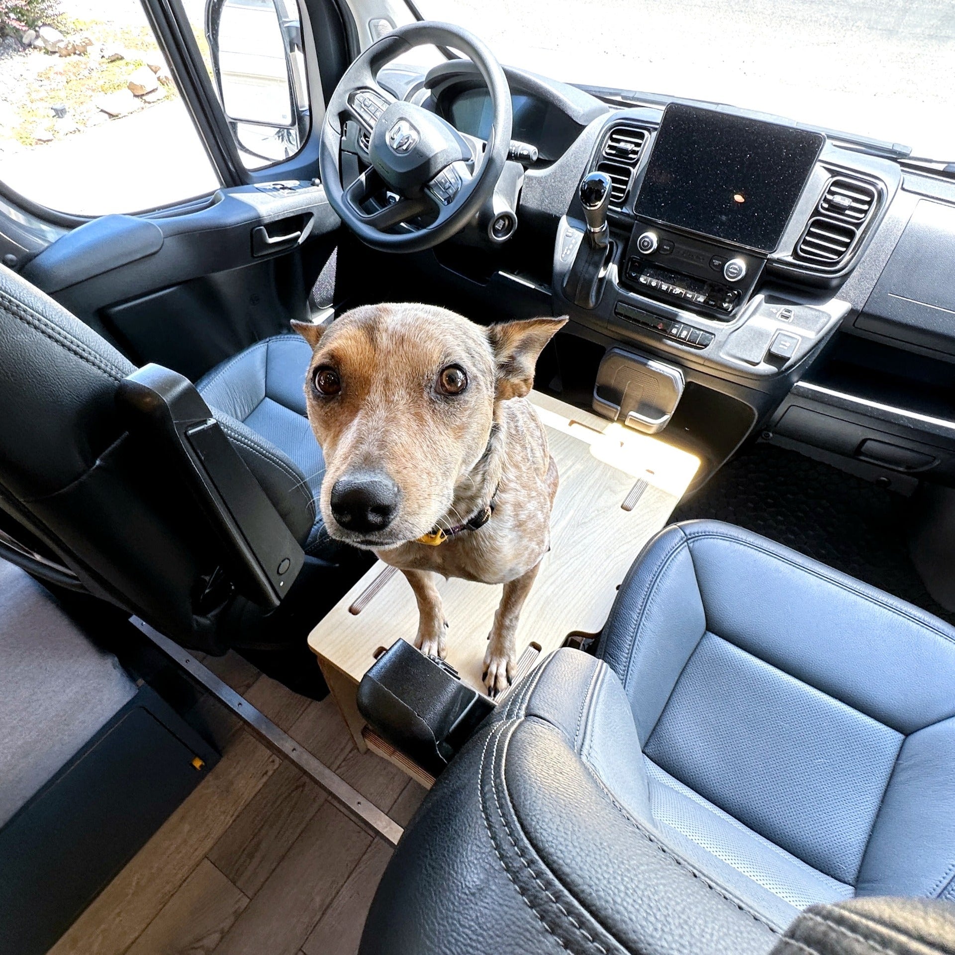 Out There Vans Ford Transit Dog Platform | Elevated Pet Seat Extender ...